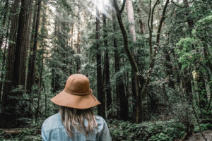 RELAX & SOUL – Whisper Alp